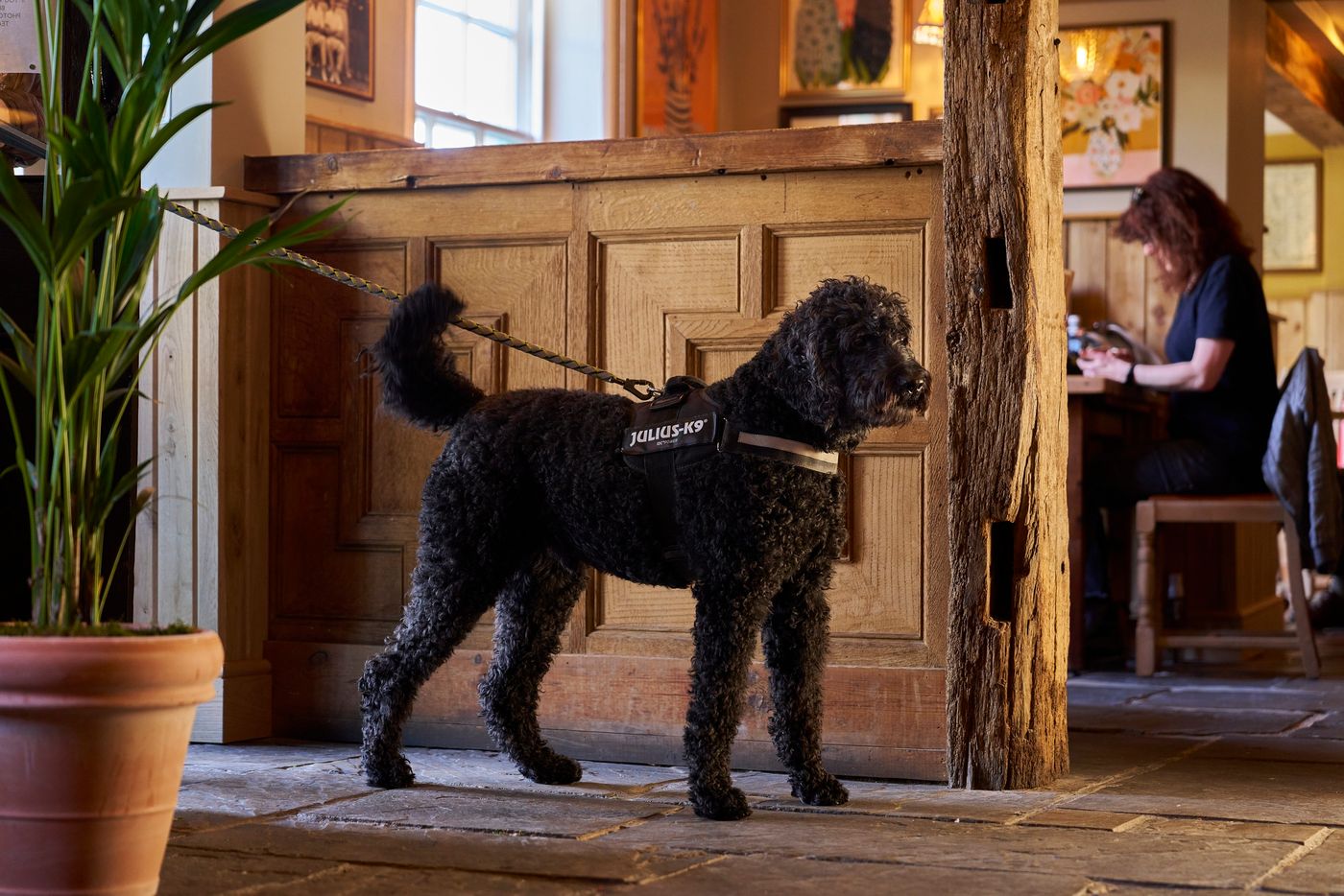 Seven Stars Country Pub & Restaurant | Petersfield, Hampshire